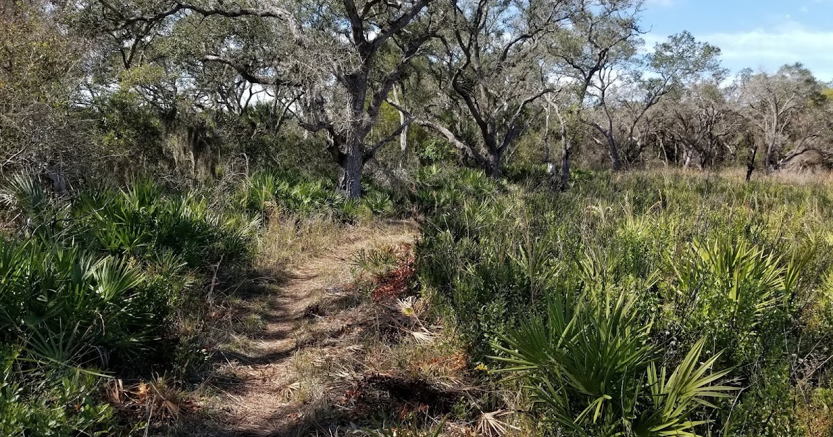 Day Hiker Series - Exploring Myakka state park