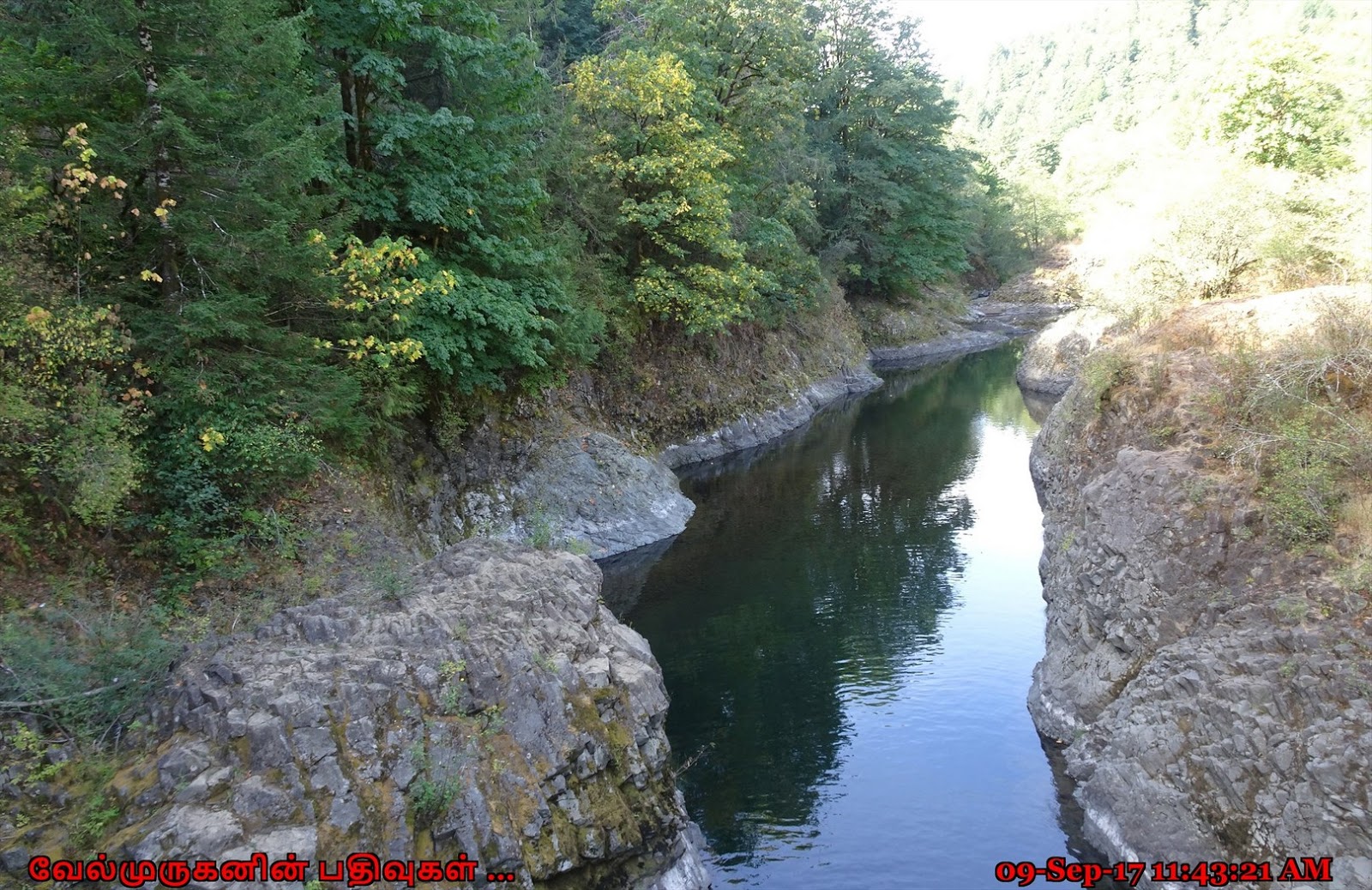 Wilson River Tillamook - Exploring My Life