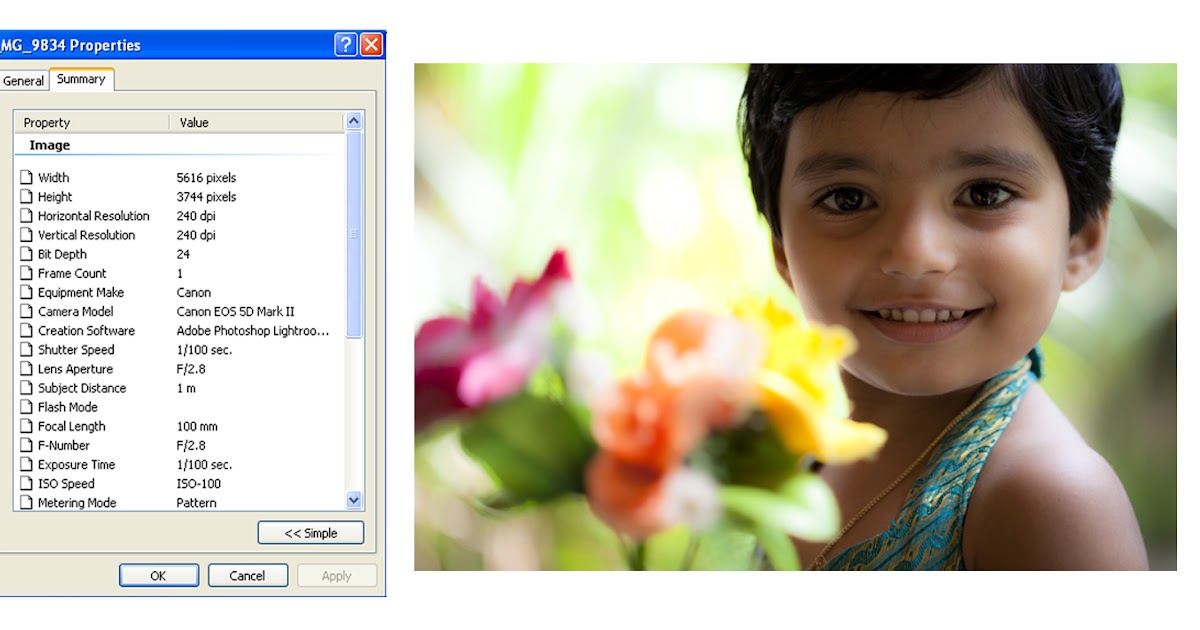 School Of Digital Photography Exif Data