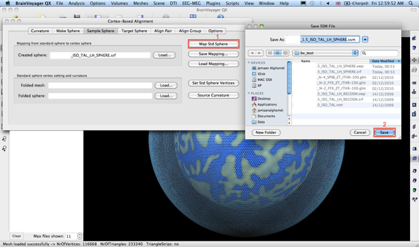 Neuroimaging Made Easy : Brainvoyager QX tips and tricks 1; Some ...