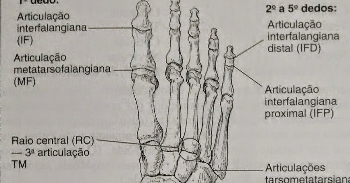 Radiologia Nossa Vida !: Articulações das Falanges (Artelhos) e ...