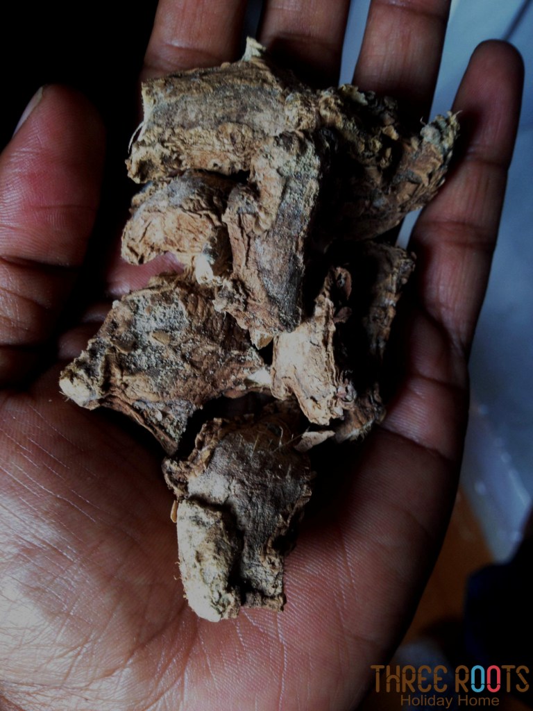 Three Roots Holiday Home Wayanad: 2016