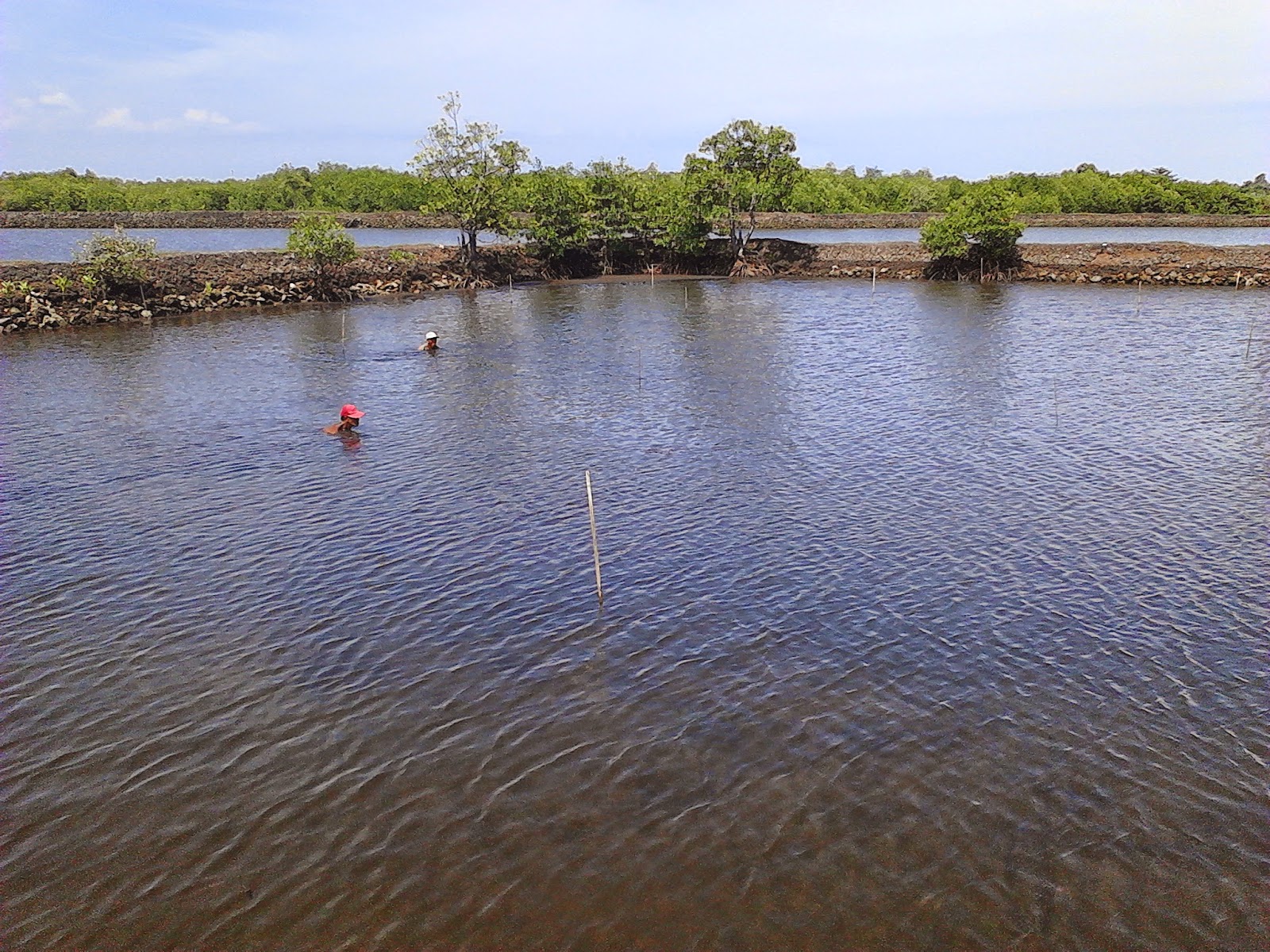 Roger The Explorer: Historic Resort of Cebu--Lapu-Lapu City, Cebu