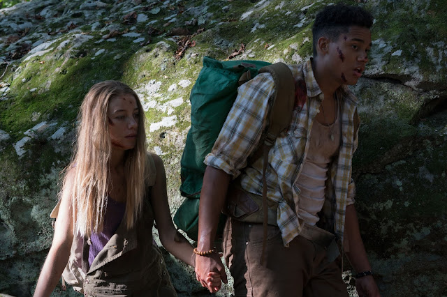 At Darren's World of Entertainment: Wrong Turn: Film Review