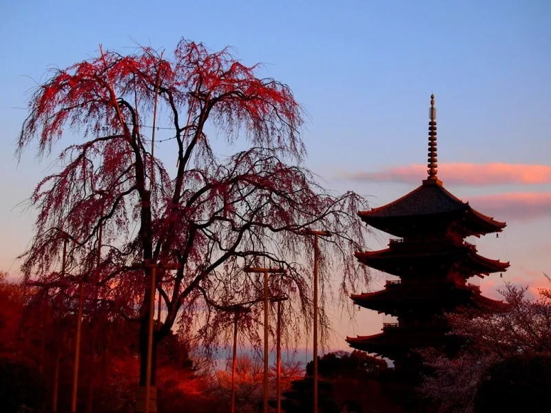Toji Temple, Kyoto, Japan (with Map & Photos)