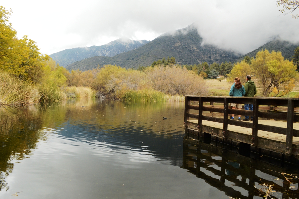 My Own 100 Hikes: Hike 2015.085B -- Oak Glen, Fall Color