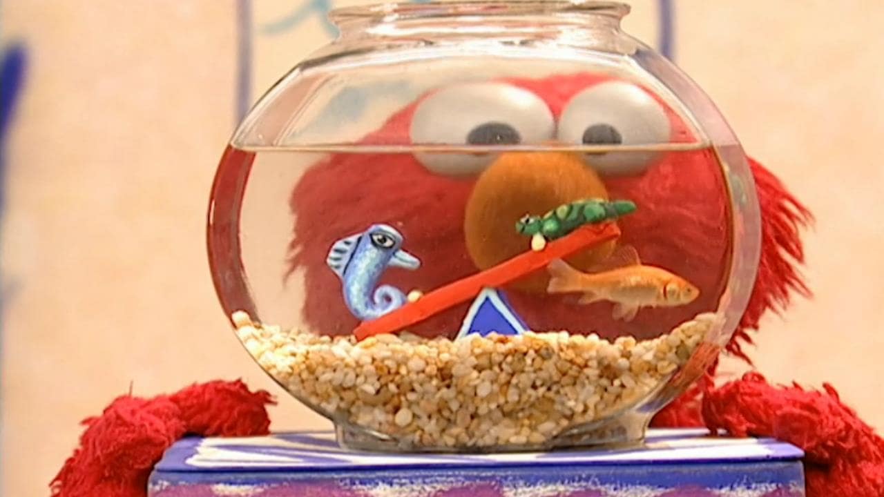 Elmo's World Up and Down