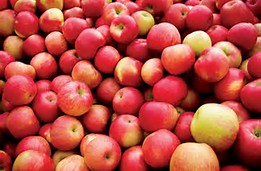 Slice of Southern: Fall Flavor Profile: Apples