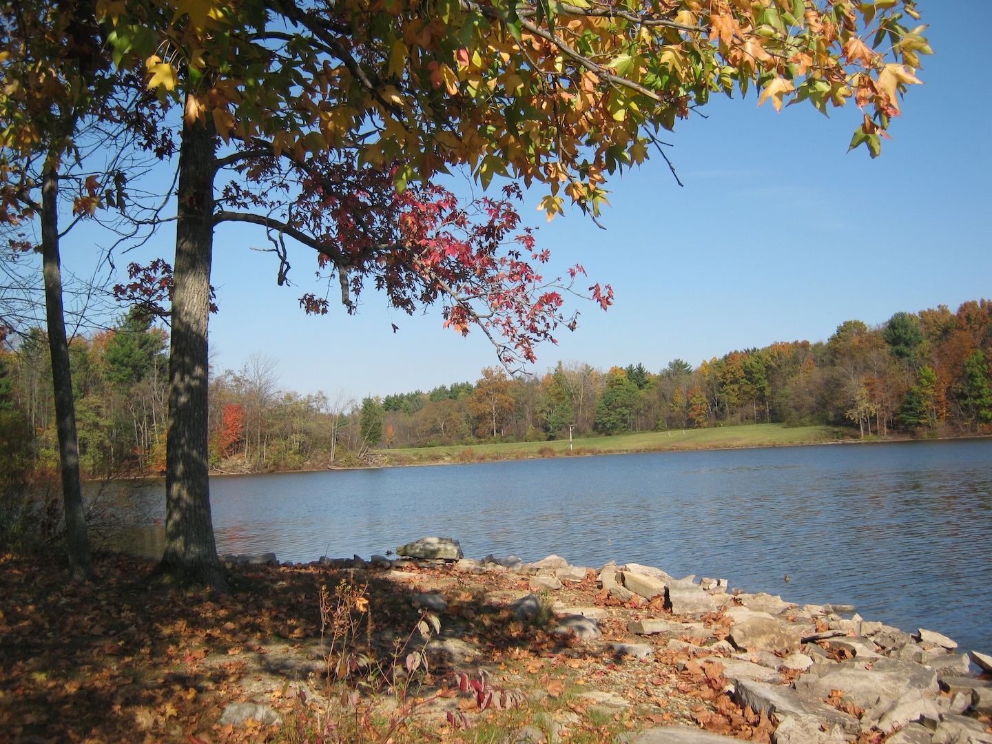 Brady's Bunch of Lorain County Nostalgia: Findley Lake in Fall