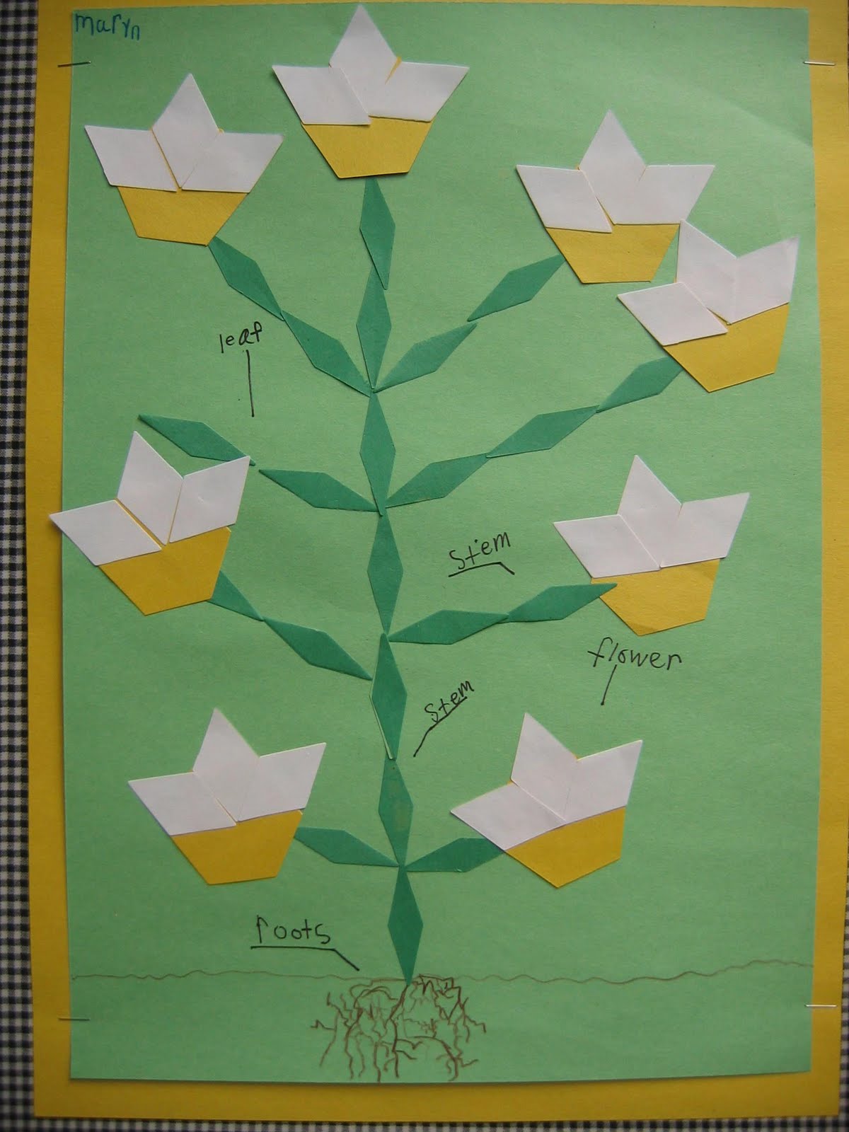 first things first: Pattern Block Plants