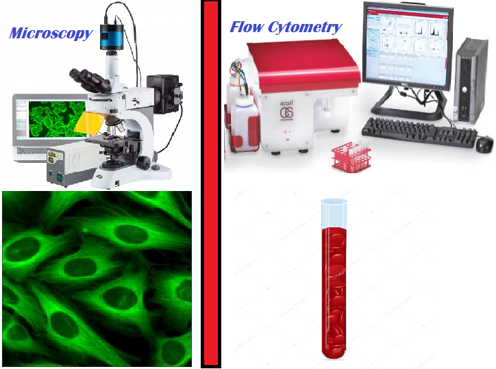 Fluorescence Microscopy vs Flow Cytometry