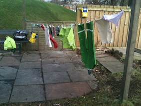 Wild about this space | Creative STAR Learning | I'm a teacher, get me ...