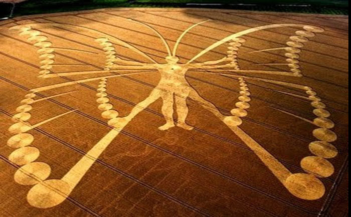 Boddhi portal: 10 of The Best Crop Circles Ever