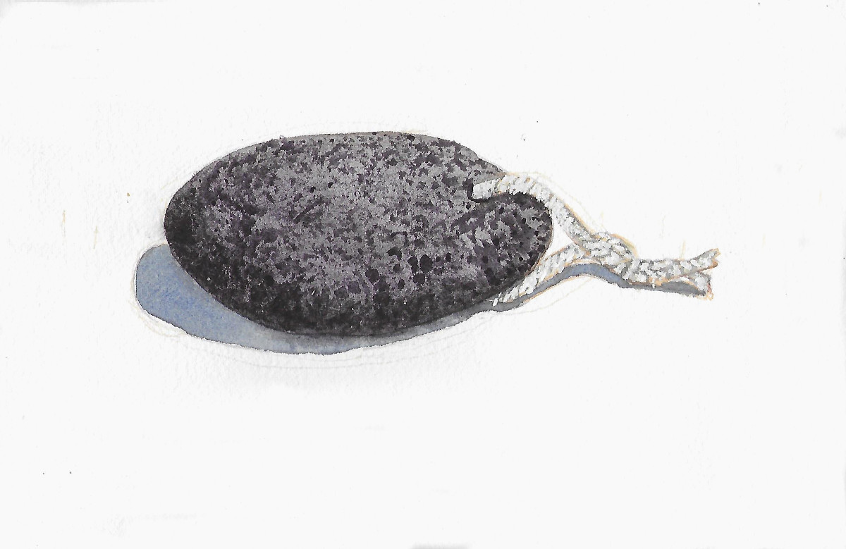 Learning to draw: Learning to see: 2021