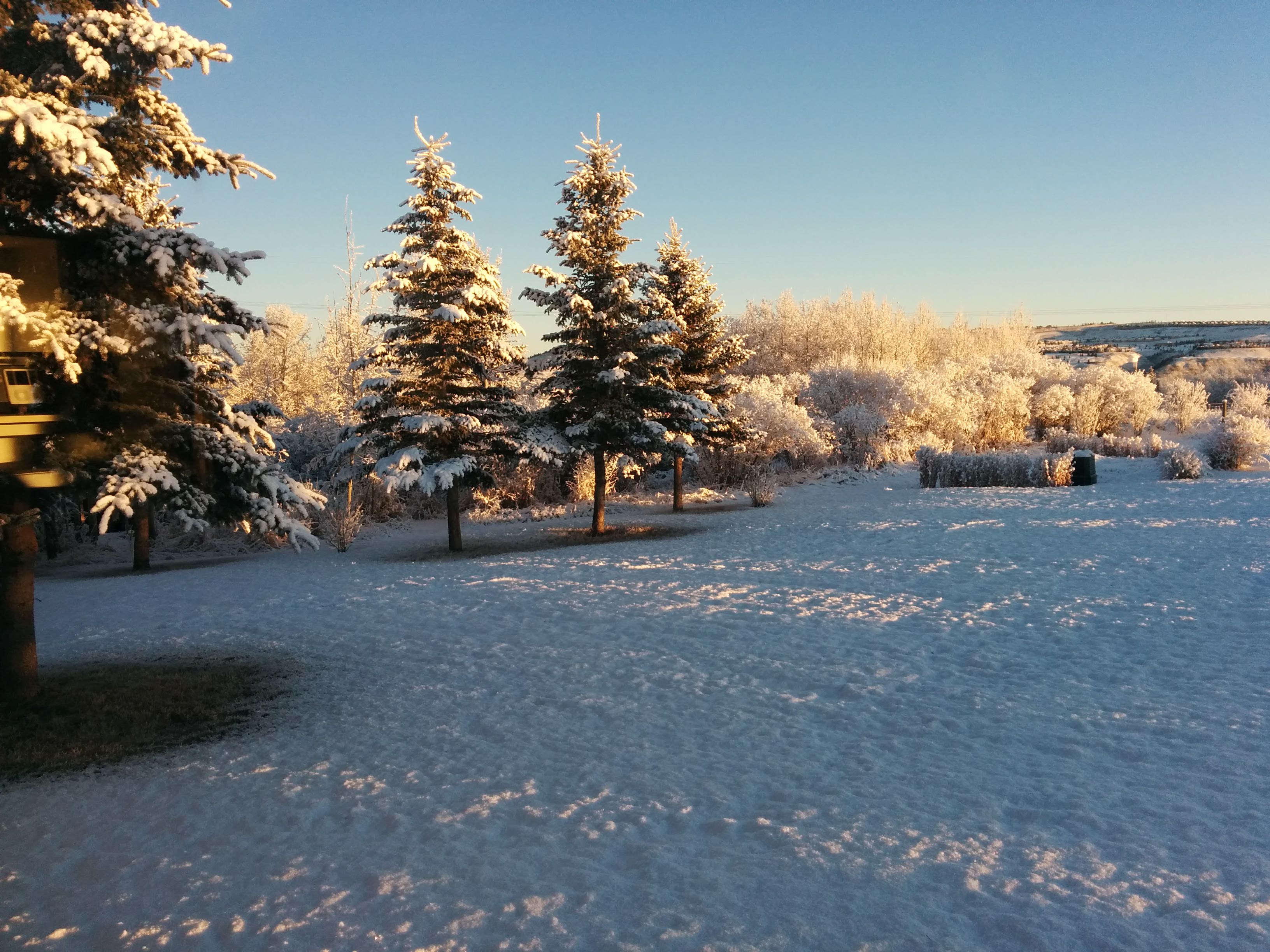 My Quickie Q2 (Revmaster): Alberta Winter is here