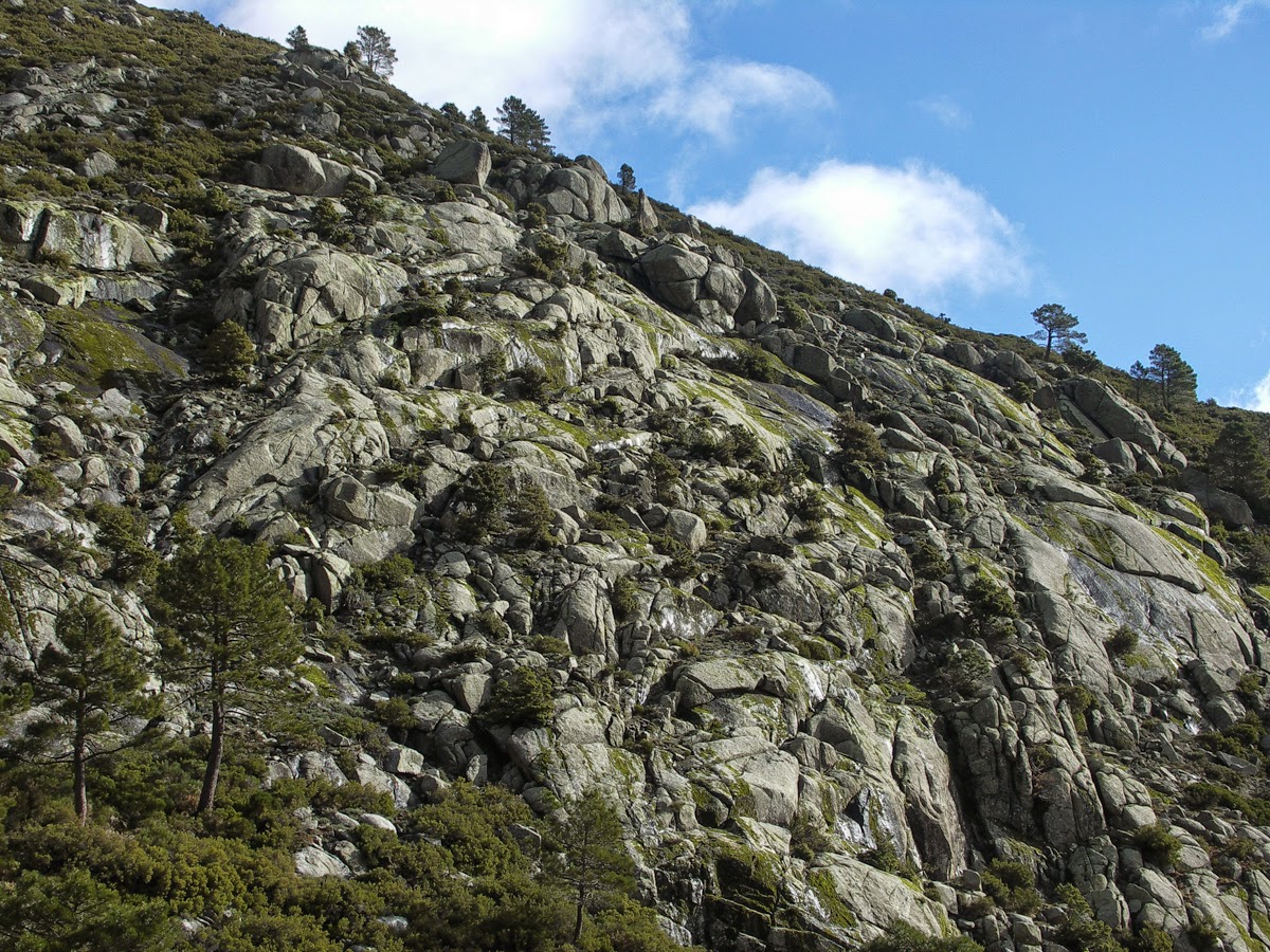 ALMANAQUE NATURAL: Los Encinares de Gredos
