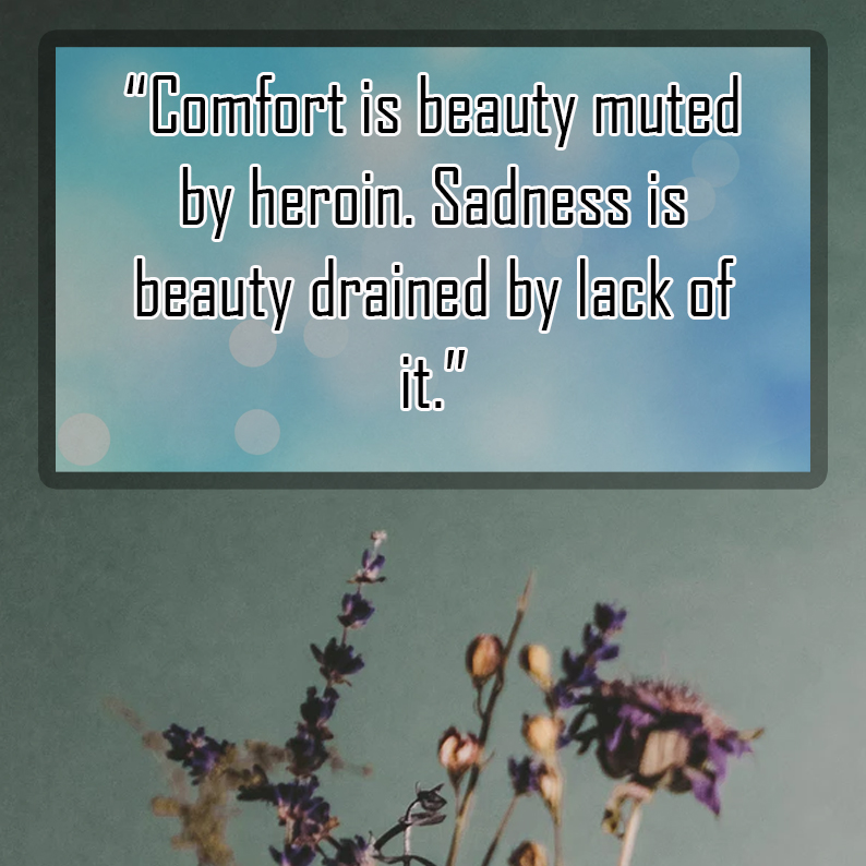 Comfort quotes comfortness quotes comforting quotes