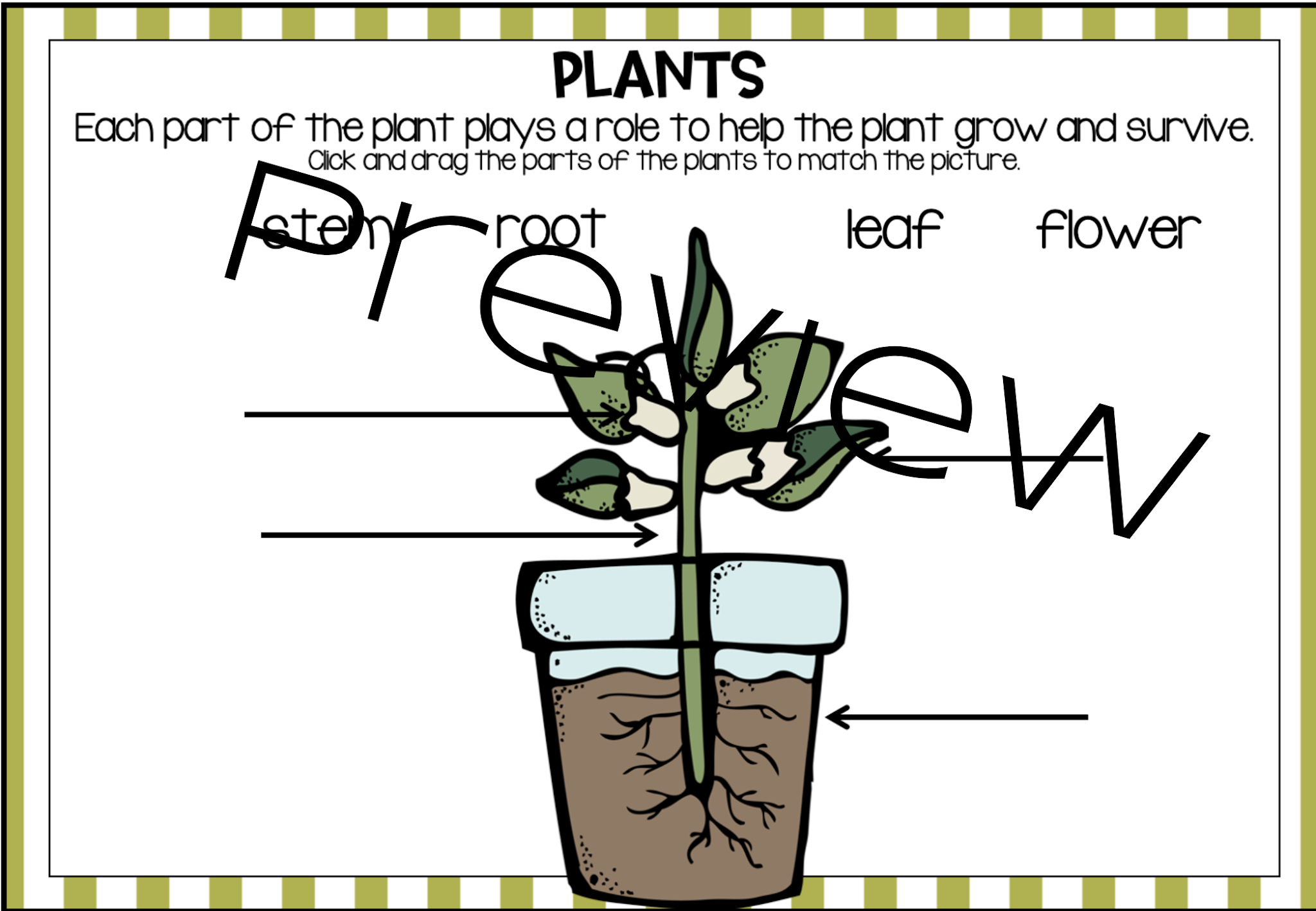 1st Grade Hip Hip Hooray!: NGSS... Life Science...Exploring Plants and ...