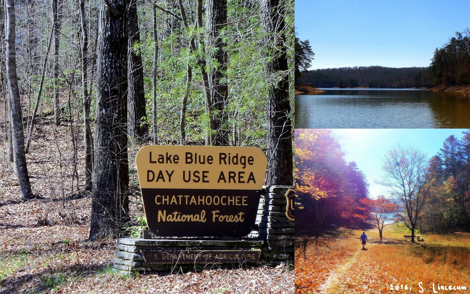 Your Peachy Past: Underwater Ghost Towns of North Georgia Book Review