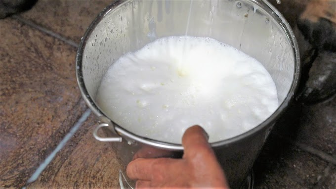 A2 milk - The Real Milk Of India