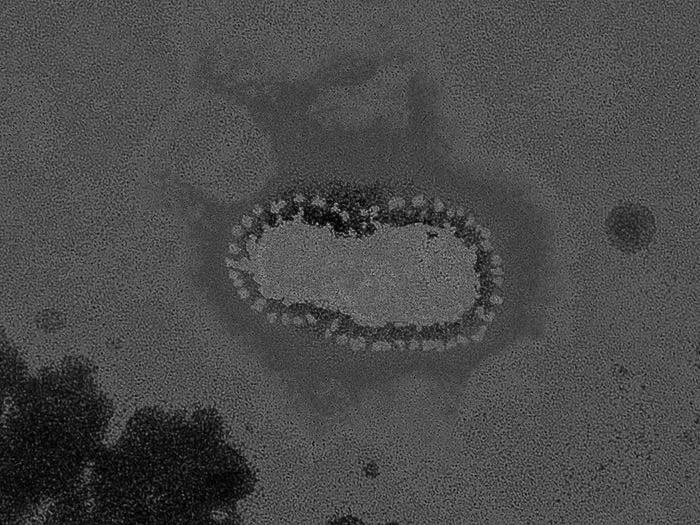 Ποια είναι η σχέση της μπύρας Corona με τον κοροναϊό;