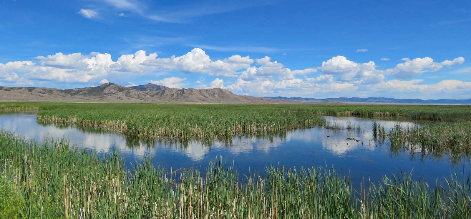 Rolling in an RV - Wheelchair Traveling......: Ruby Lake National ...