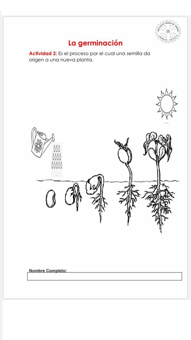 INSTITUCIÓN EDUCATIVA TÉCNICO DÁMASO ZAPATA SEDE B,C Y D PREESCOLAR: 2021