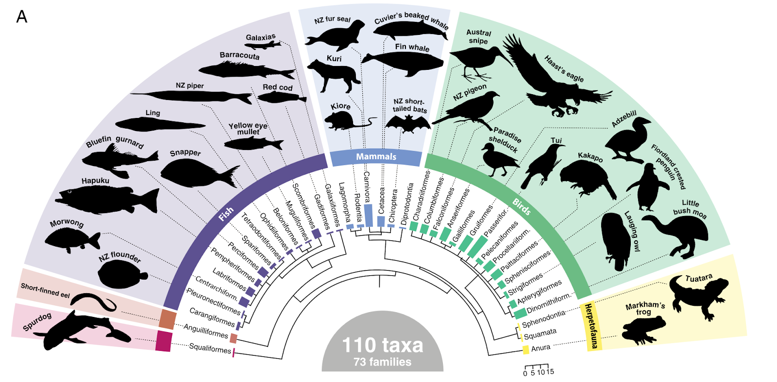 GW Human Evolutionary Genetics : Using ancient DNA to look at ...