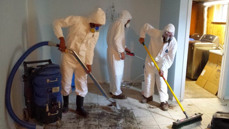 All About Flood Damage Cleanup