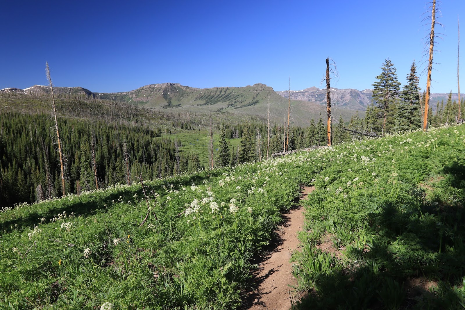 gjhikes.com: Skinny Fish