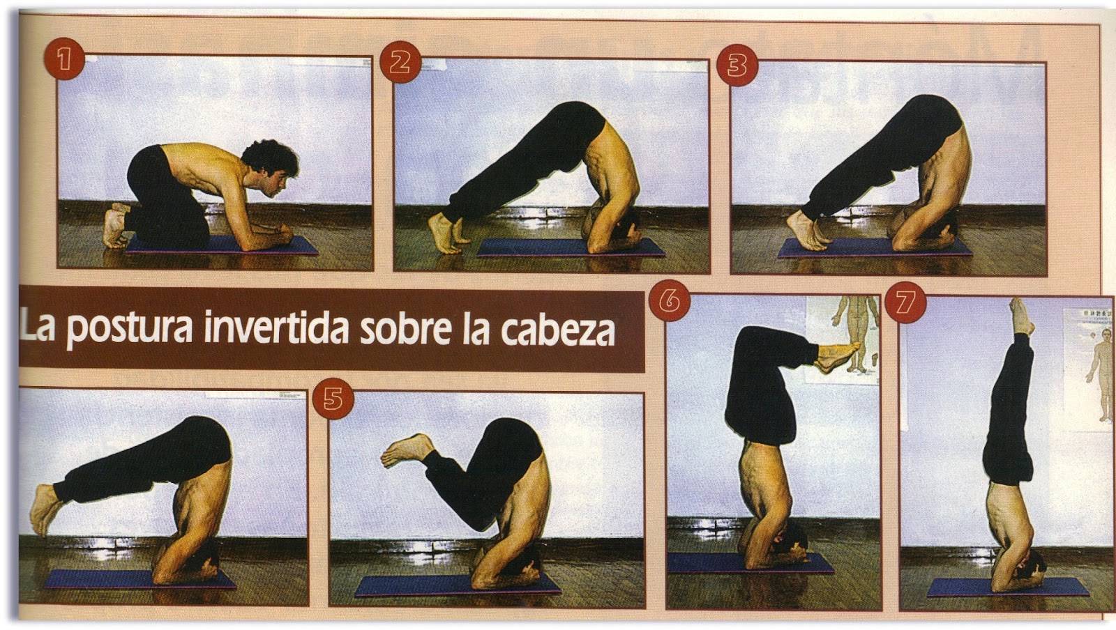 WEB MARCIAL: Filosofía: Yoga