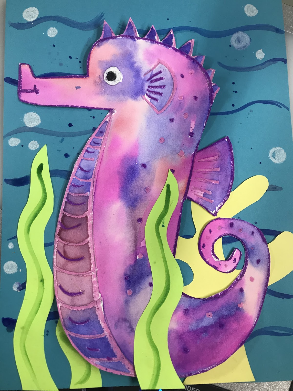 Mister Seahorse Coloring Page