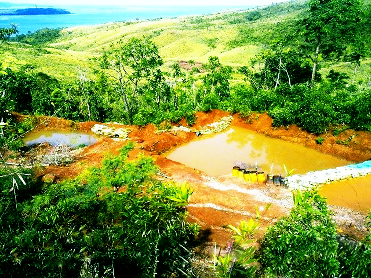 Mambulaoans WorldWide Buzz