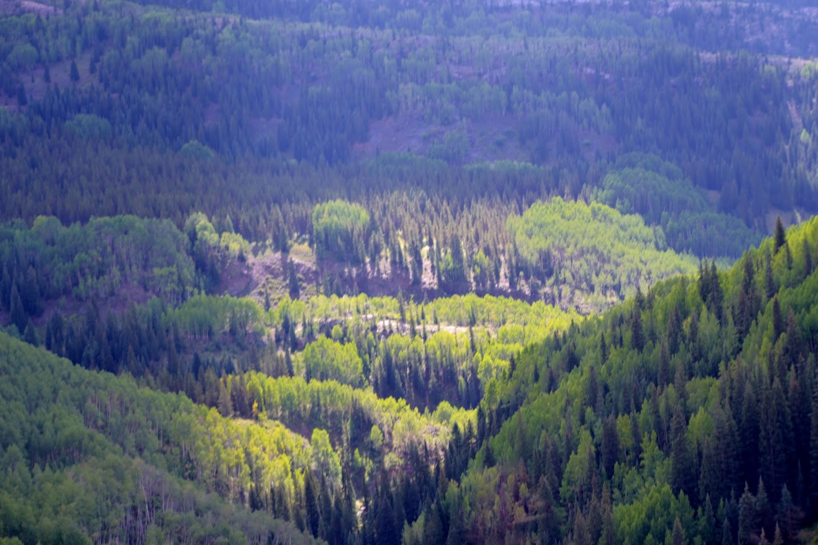 good-times-rollin: Animas River...Two Different Views - Part 2