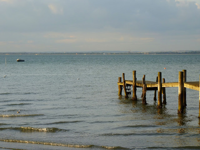Birding For Pleasure: Birds and Binstead Beach