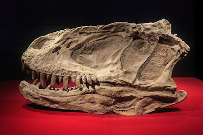 Prehistoric Beast of the Week: Sinraptor: Beast of the Week