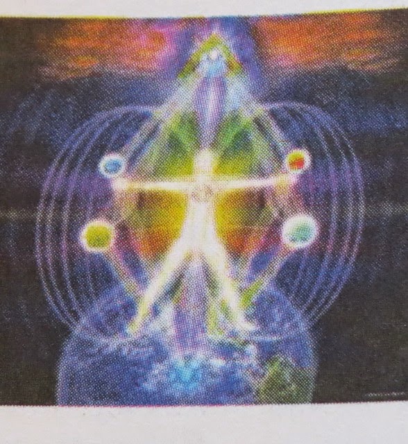 biomathcraft: The Human Torus