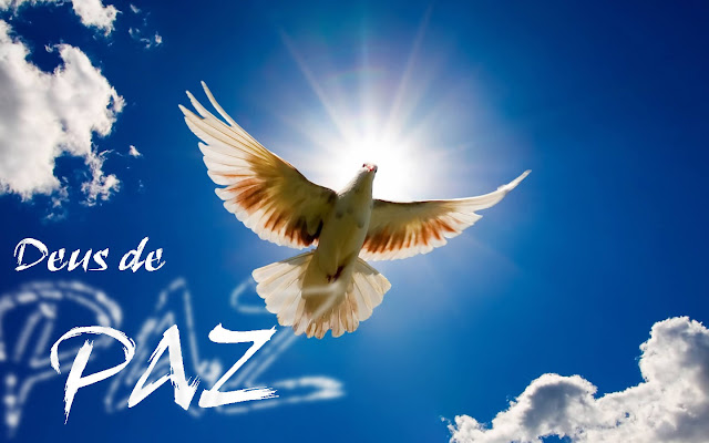 20' minutos com Deus: A VERDADEIRA PAZ