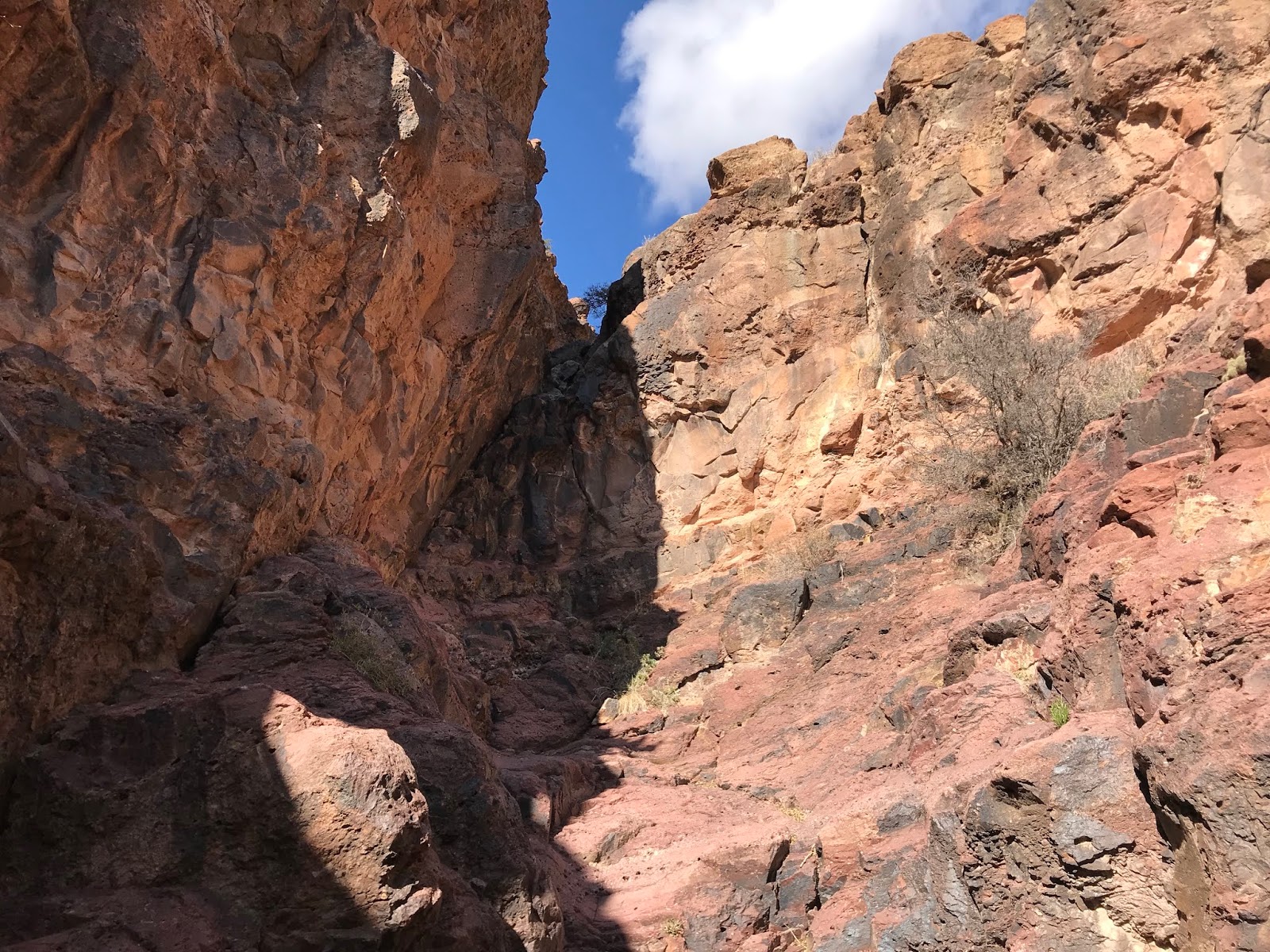 Southern New Mexico Explorer: Rincon Falls - Caballo Mountains