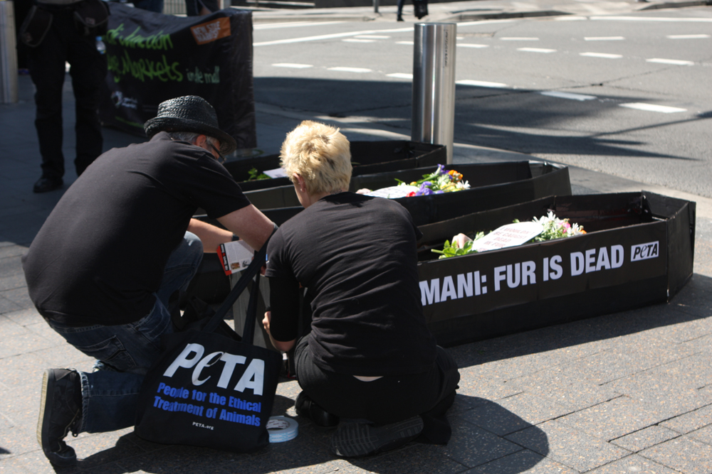 Celebrity News Media: PETA 'Fur Is Dead' coffin stunt aimed at Armani ...