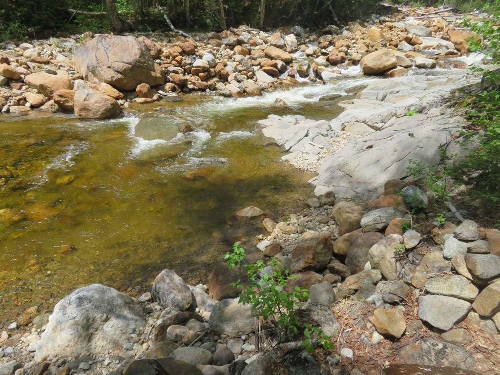 Mountain Wandering: Dry River Trail: 5/27/21