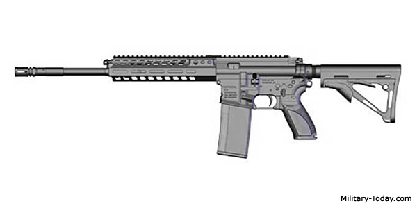 FDRA - Fuerza Terrestre: Rifle automático: CAR 817 (Emiratos Árabes Unidos)