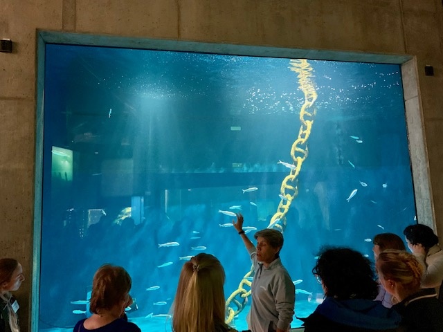 New! Baltic Sea Science Center