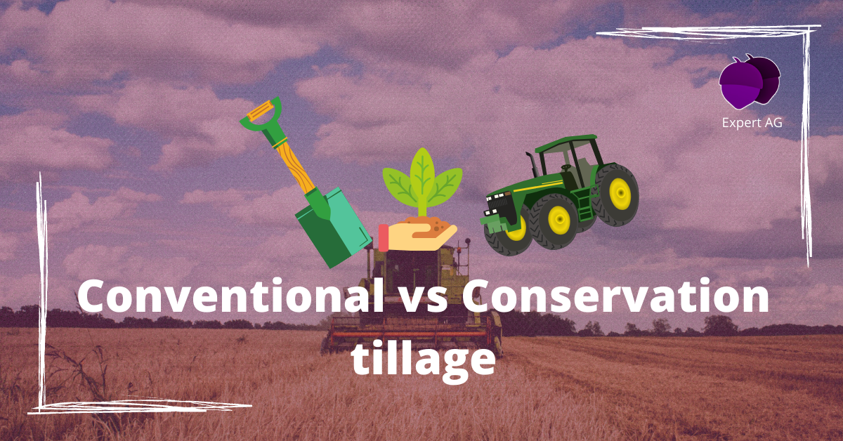 Conventional and Conservation tillage