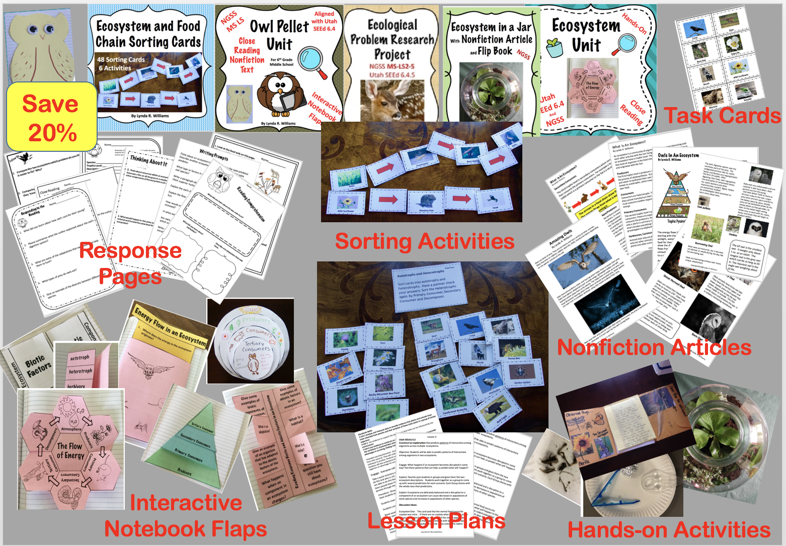 Ecosystem and Food Chain Lesson Ideas 5 LS2 and MS LS2 - Teaching ...