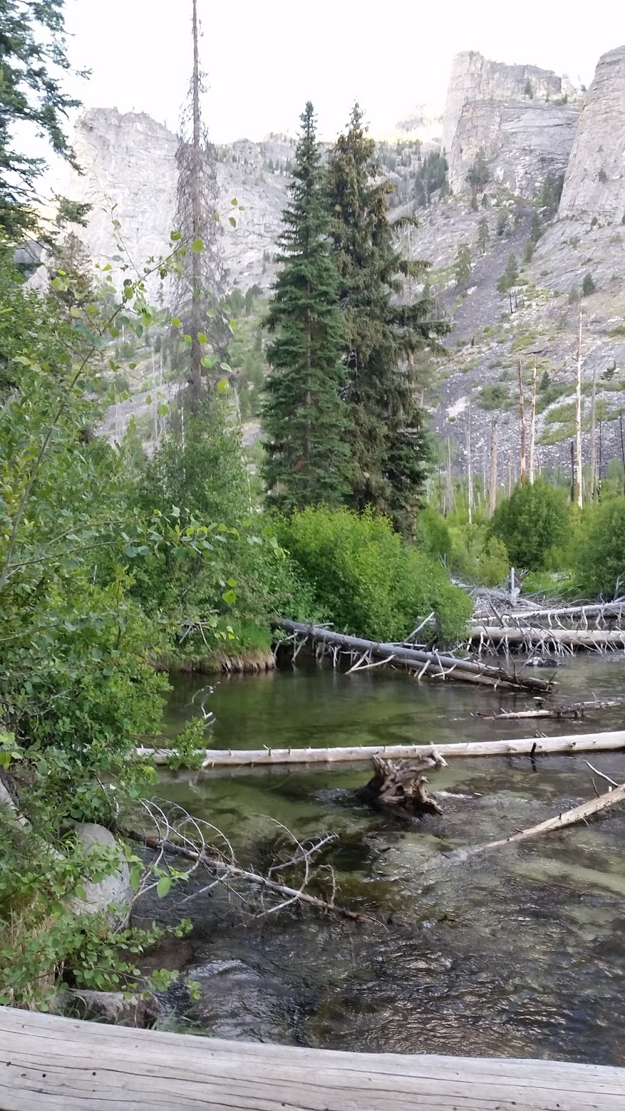 Montana Trail Runs - Bitterroot Mountains