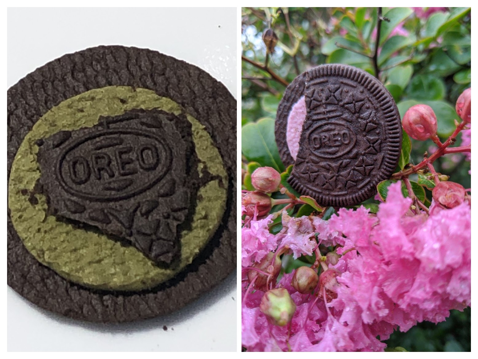 International Edition: Sakura and Matcha Oreos
