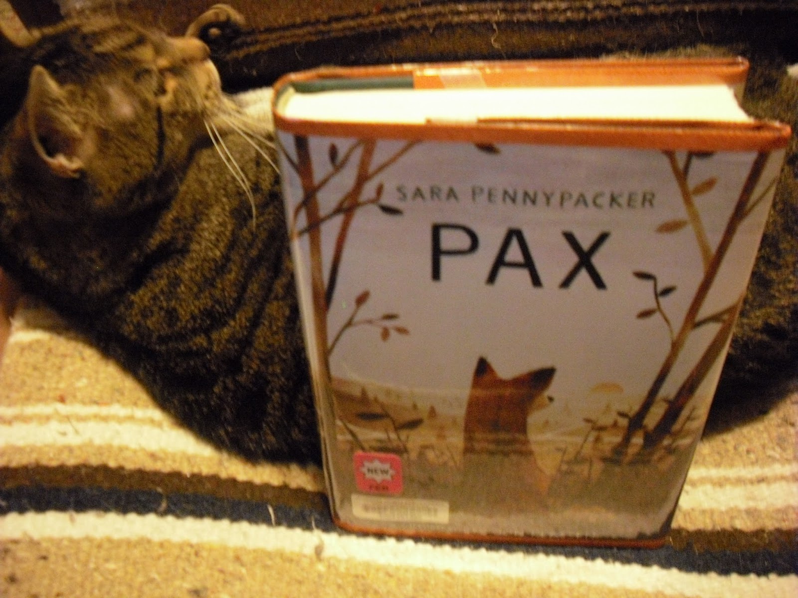 Grab A Book From Our Stack: "PAX" by Sara Pennypacker - A Book for ...