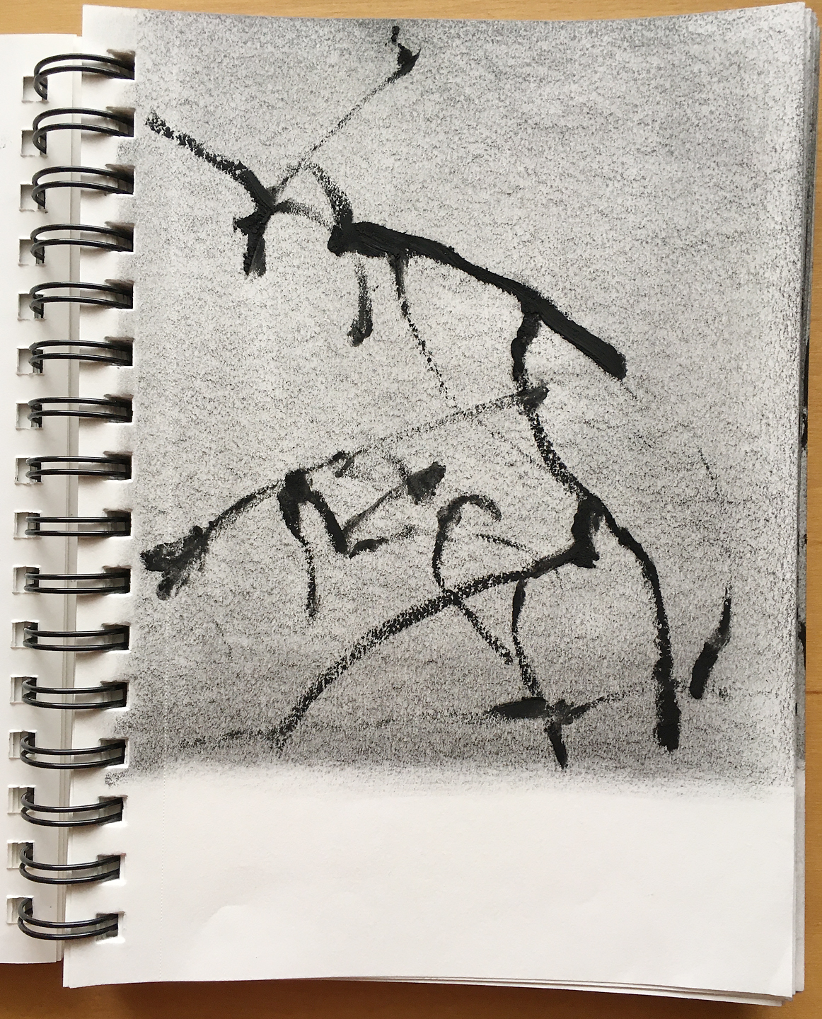 Tamar Zinn : Why I Draw : Notebook drawings