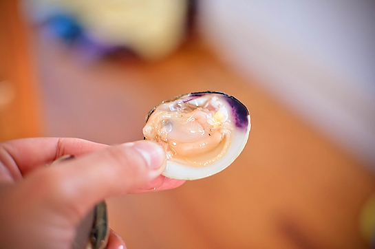 Feeding Andy: How to Open Clams